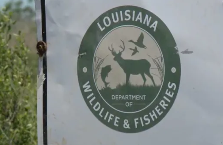 Louisiana Department of Wildlife and Fisheries conducts survey of ...